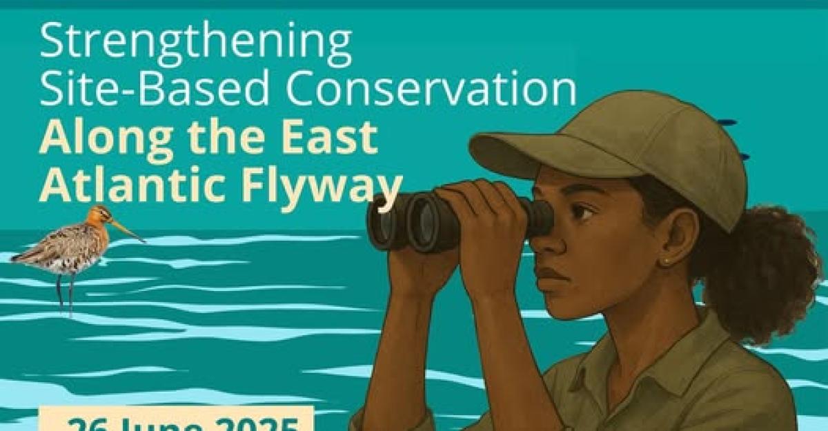 Webinar: From Data to Action: Strengthening Site-Based Conservation Along the East Atlantic ...
